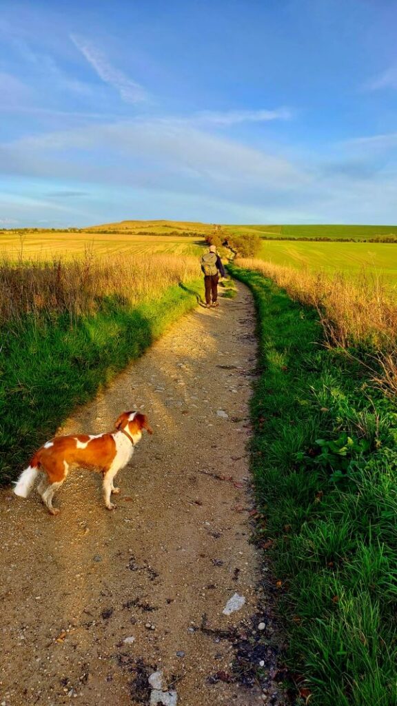 The Ridgeway National Trail - Walking Holiday