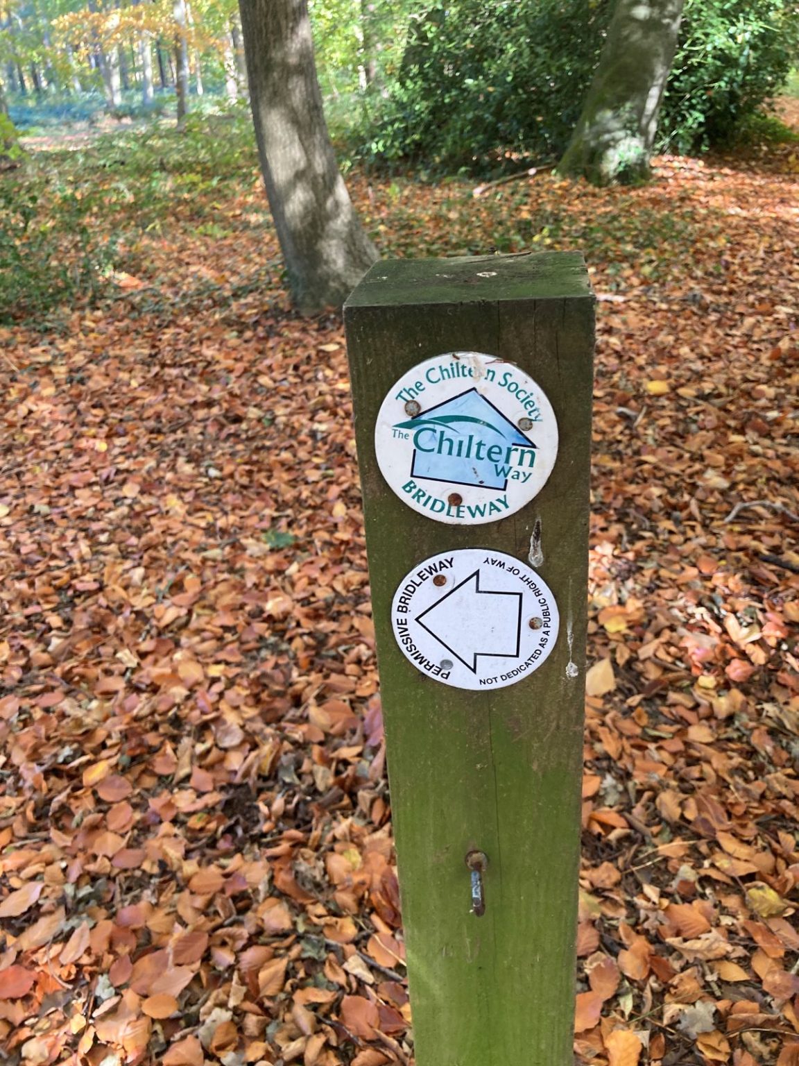 The Chiltern Way - Walking Holiday